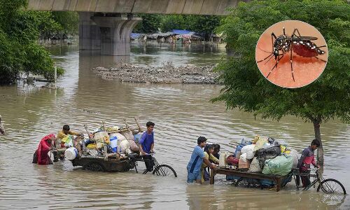Dengue outbreak caused by flooding in Delhi | Telangana Tribune